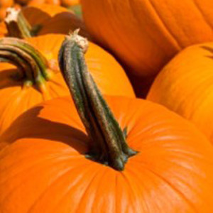 The Fantastic Skin and Health Benefits of Pumpkin